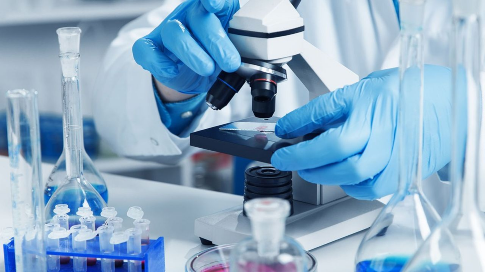 Bioptimus Revolutionizing Biotech with Advanced AI Models | Invest it in